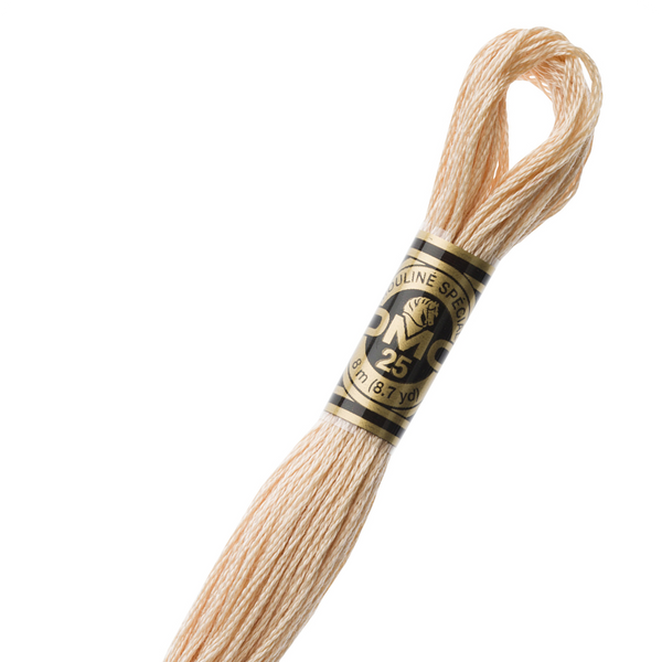 DMC 945 Cotton Embroidery Floss - Stitched Modern